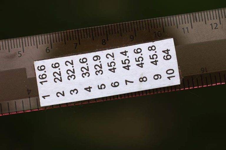 Camera Movements in Large Format – A Beginner’s Guide – Tobias Key ...